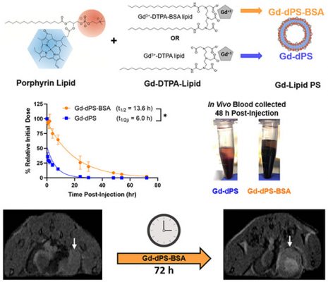 Prolonged Circulating Lipid Nanoparticles Enabled by High-Density Gd ...